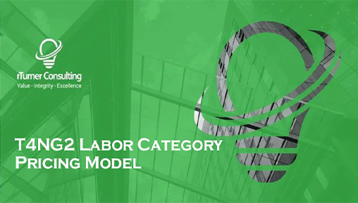 T4NG2 Labor Category Pricing Model – rTurner Consulting, LLC